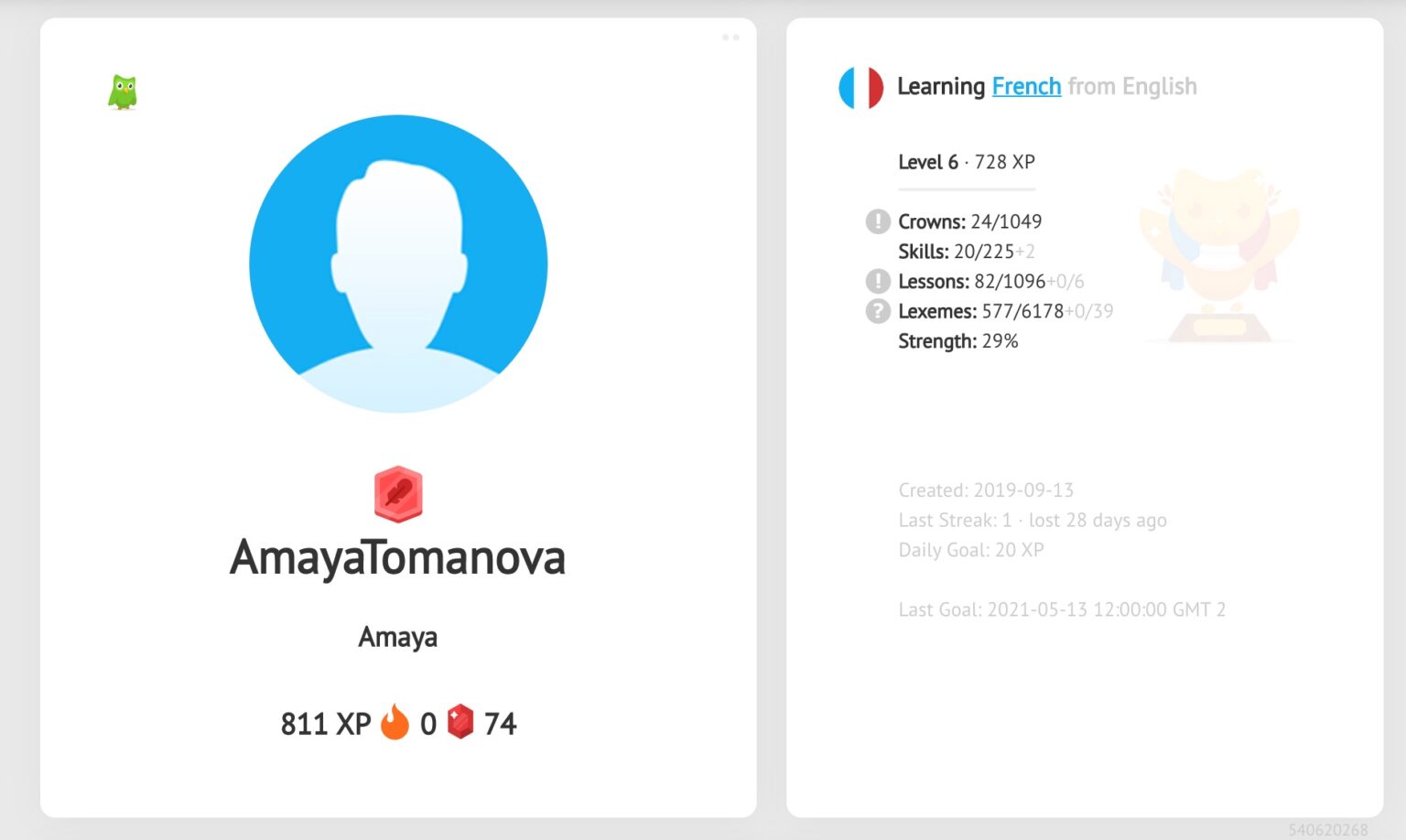 4 tipy pro ještě lepší učení v aplikaci Duolingo – Jablíčkář.cz