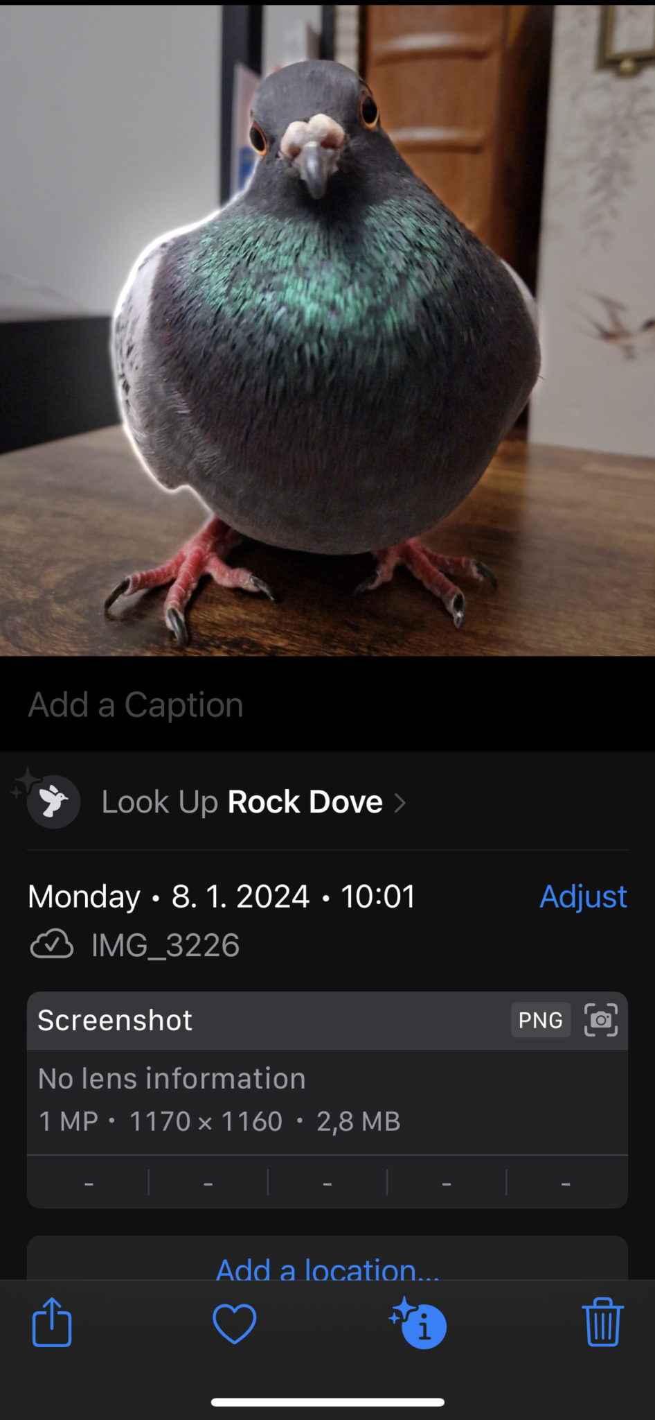 Jak na iPhonu používat Visual Look Up – Jablíčkář.cz